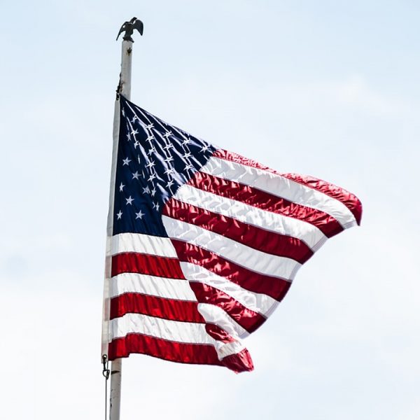 The Ultimate Buyer's Guide for CBD Price - CBD.market