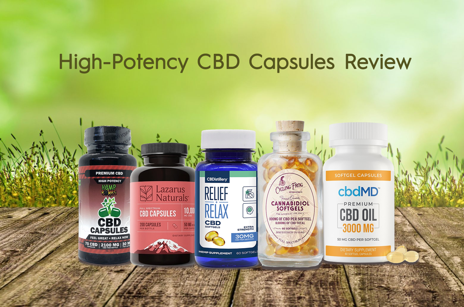 Ultimate Guide to Top High-Potency CBD Capsules and Pills [User's Guide ...
