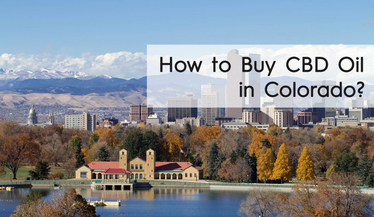 Where to Buy CBD Oil in Colorado in 2025? - CBD.market