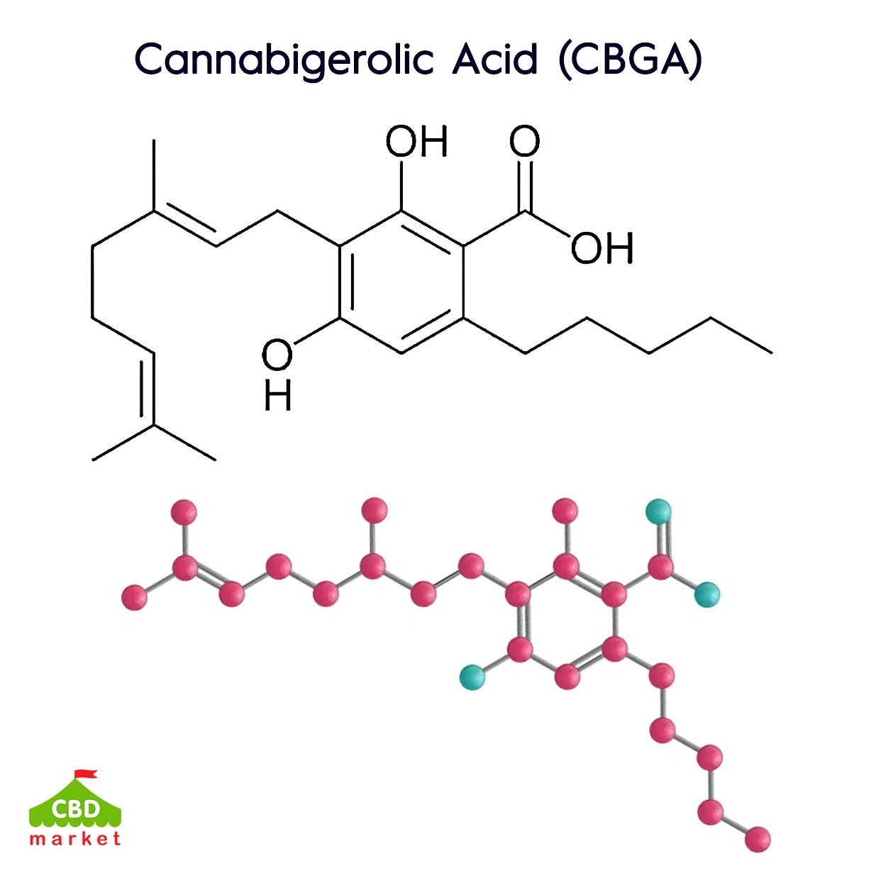 What is Cannabigerolic Acid (CBGA)? - CBD.market