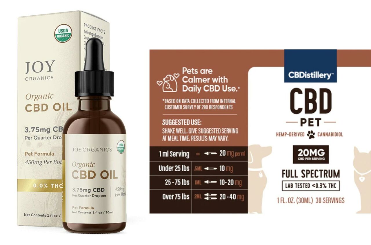 Where to Buy CBD Oil for Dogs? - CBD.market
