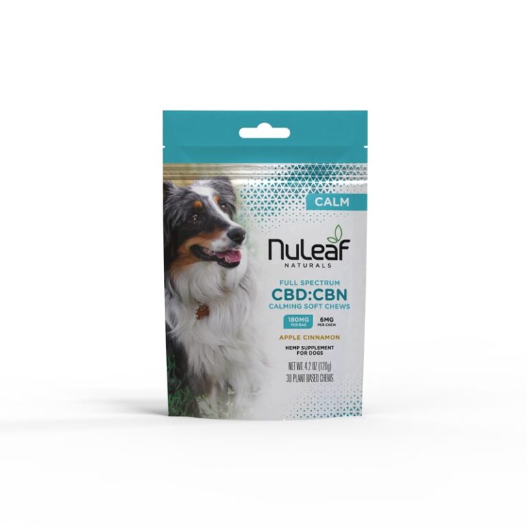 CBD for Pets: A Beginner’s Guide - CBD.market