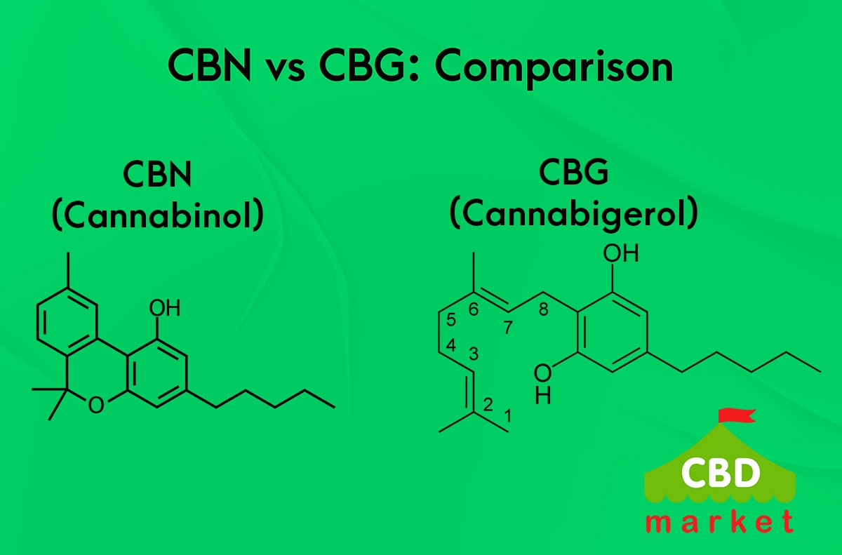 CBN vs. CBG: Which Cannabinoid Should You Choose? - CBD.market