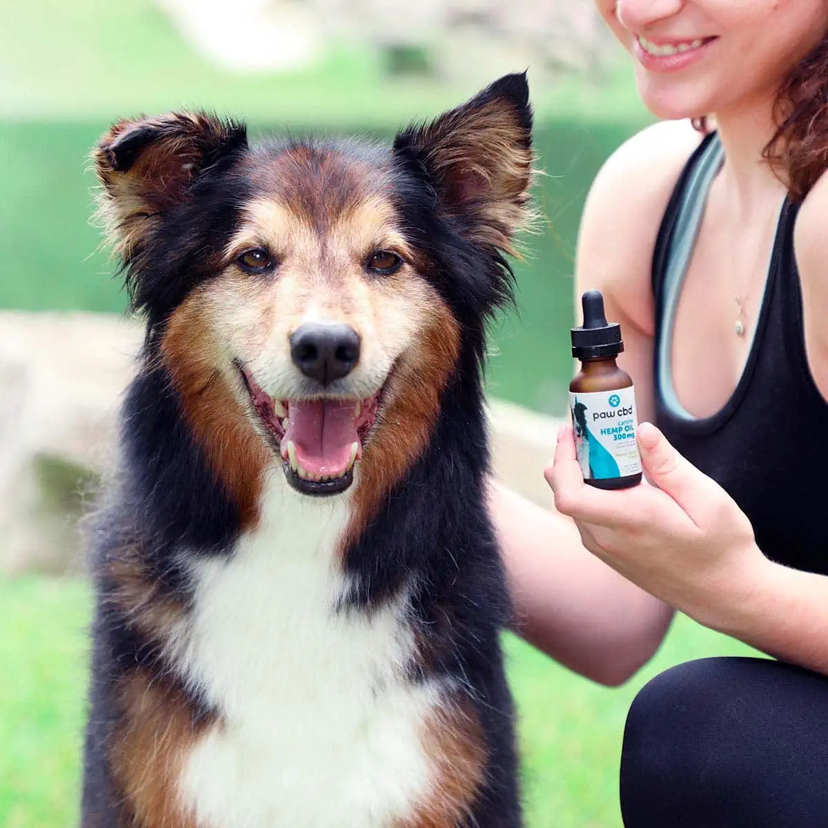 Paw CBD, Pet CBD Oil Tincture for Dogs, Peanut Butter, Broad Spectrum ...