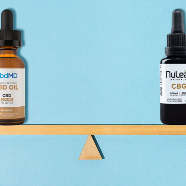 USDA Says China Issued New CBD Policies and Regulations - CBD.market