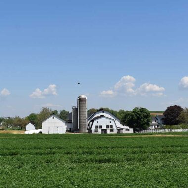 CBD vs. CBG: Which Cannabinoid Should You Choose? - CBD.market