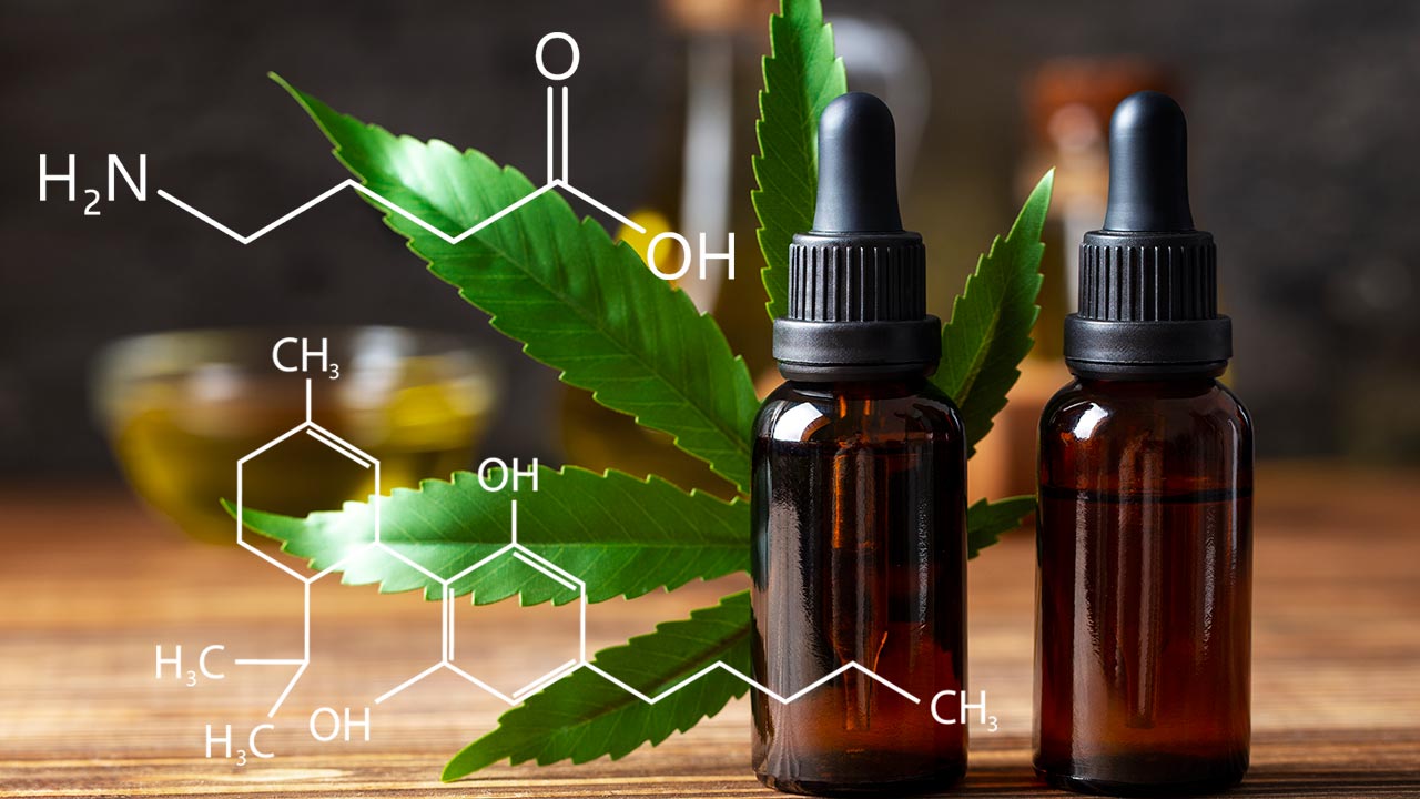 CBD and GABA Wellness Benefits - CBD.market