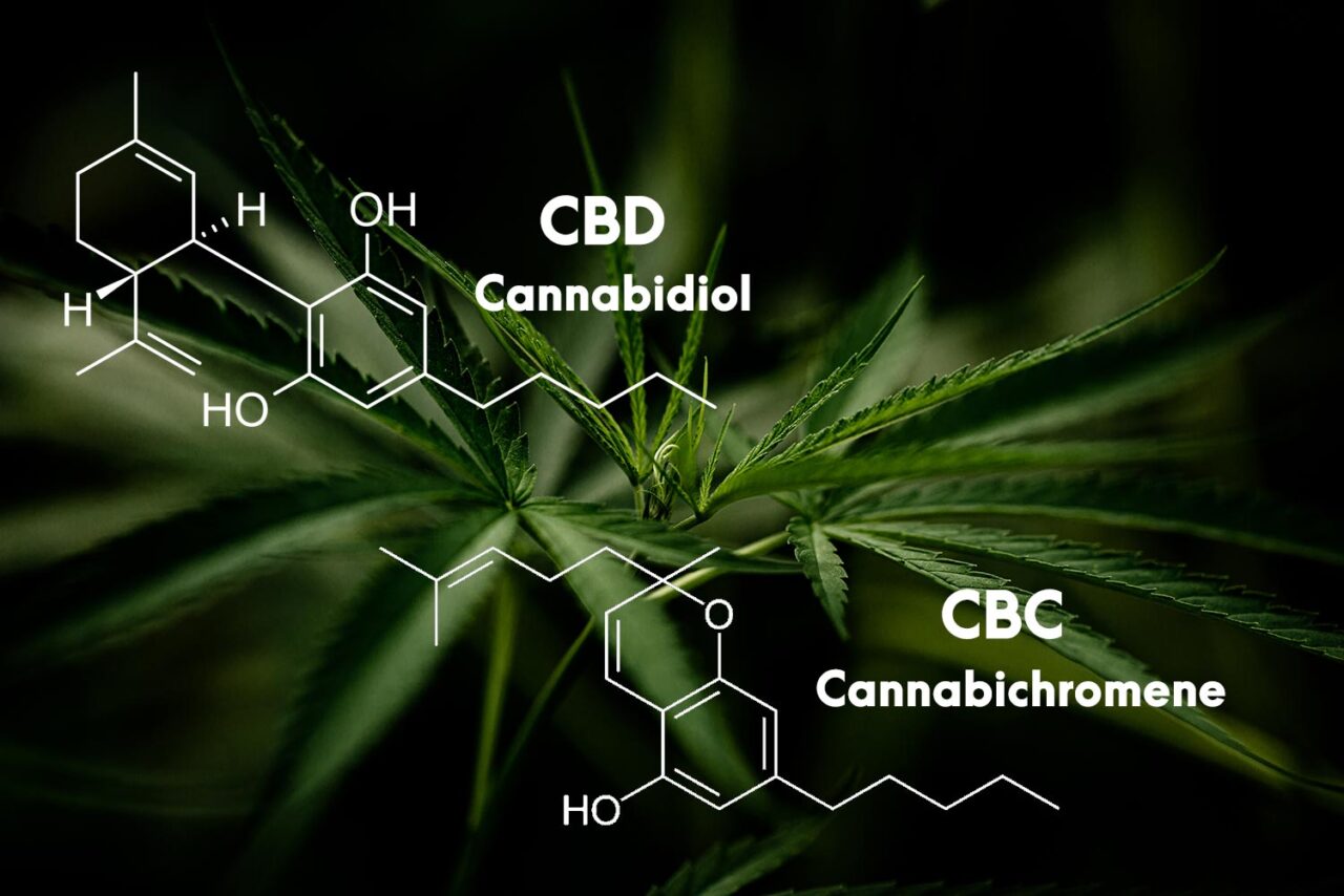 CBD Vs. CBC: What Are the Differences? - CBD.market