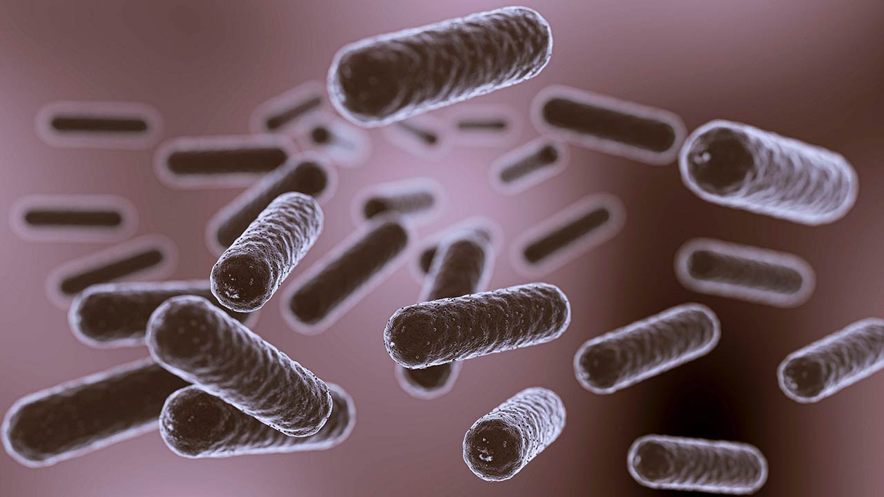 Lithuanian Researchers Test CBD-Probiotic Delivery via Emulsion Gel