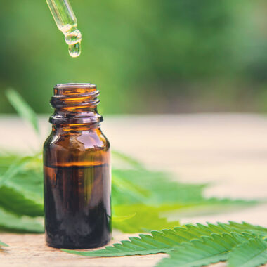 CBN vs THC Effects and Legal Differences Explained